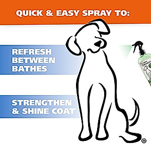 Wahl Deodorizing & Refreshing Pet Deodorant for Dogs - Eucalyptus & Spearmint Scent to Refresh the Skin and Coat - Model 820011A
