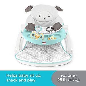 Fisher-Price Sit-Me-Up Floor Seat with Tray