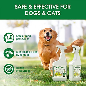 BugPursuit 24oz Flea &Tick Spray, Flea and Tick Prevention for Dogs, Cats, Non-Toxic, Safe for Pets & Kids, Flea and Tick Spray for Home, Killer Flea, Tick, Lice, 100% USDA Biobased, Made in USA