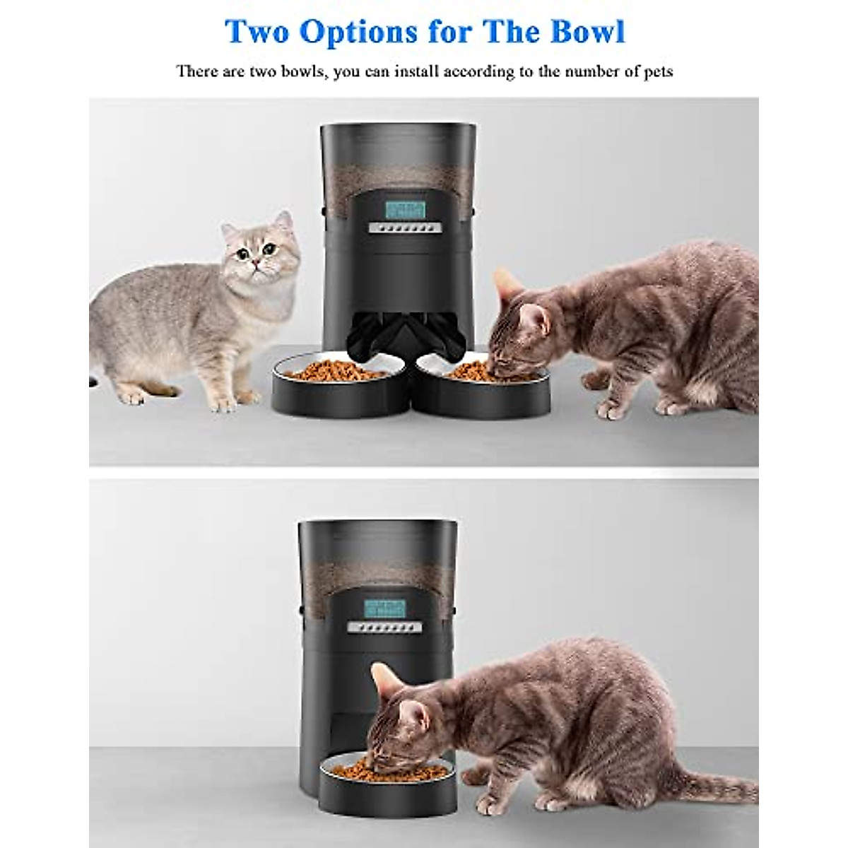 HoneyGuaridan Automatic Cat Feeder for 2 Cats,Wi-Fi Smart Pet Feeder,Timer Cat Food Dispenser for Cats & Dogs, APP Control,Dessicant, Voice Recorder,Stainless Steel Bowl 1-6 Meals a Day (Black)