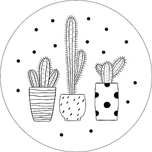 Blooms & Succulents Embroidery Pattern Transfers (set of 10 hoop designs!)