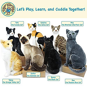 VIAHART Rae The Russian Blue Cat - 12 Inch Grey Stuffed Animal Plush Gray Cat - by Tiger Tale Toys