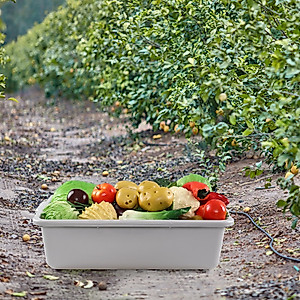 Oymlclivisa 25 L Plastic Commercial Bus Tubs, Restaurant Bus Boxes, Gray, 4 Packs