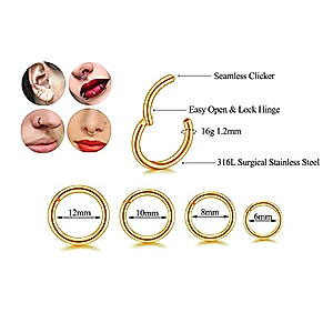 16G Hypoallergenic Nose Rings 316L Surgical Steel Piercing Jewelry Hinged Segment Ring Body Piercing Septum Nose Hoop Lip Rings Nose Helix Cartilage Rook Earrings (16G 4Pairs 6/8/10/12mm Gold)