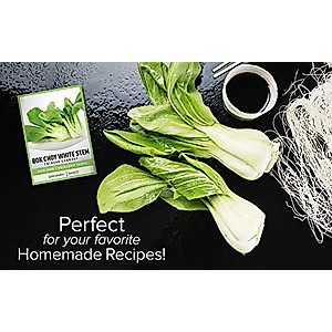 Bok Choy Chinese Cabbage Seeds for Planting - (Pak Choi) Heirloom, Non-GMO Vegetable Variety- 1 Gram Seeds Great for Summer, Spring, Fall and Winter Gardens by Gardeners Basics