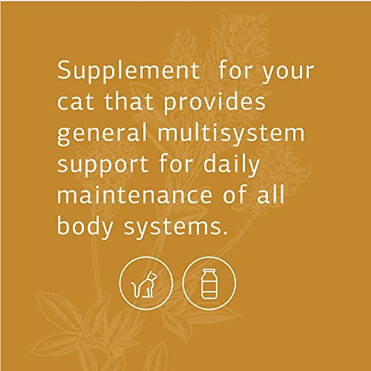 Standard Process - Feline Whole Body Support - Daily Supplement for Cats - 90 Tablets