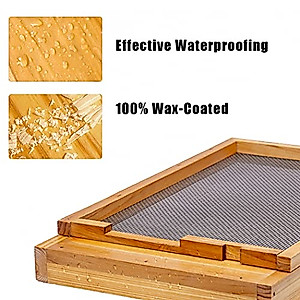 BeeCastle Beehive Screened Bottom Board Dipped in 100% Beeswax,Screened Bottom Board with Solid Wood (10-Frame)