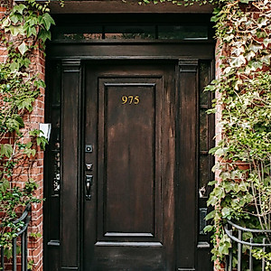 Clio 3-Inch Solid Brass Letters Address Signs For Houses Mailbox Numbers House Numbers For Outside, Address Plaques for House Numbers For Modern Mailbox, Outdoor Wall Decor (Polished, Number 5)