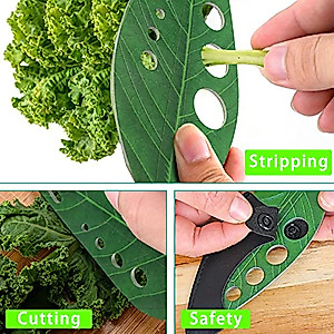 FYY Herb Stripper 9 Holes,Herb Stripping Tool With Leather Protect Cover,Stainless Steel Kitchen Herb Leaf Stripping Tool for Kale, Chard, Collard Greens, Thyme, Basil, Rosemary