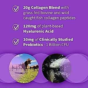 Garden of Life Marine & Grass-Fed Collagen Peptides Powder Supplement (Type I, III) with Probiotics, BCAAs & Hyaluronic Acid for Radiant Hair, Skin & Nails – Unflavored, 20g per Serving, 12 Servings