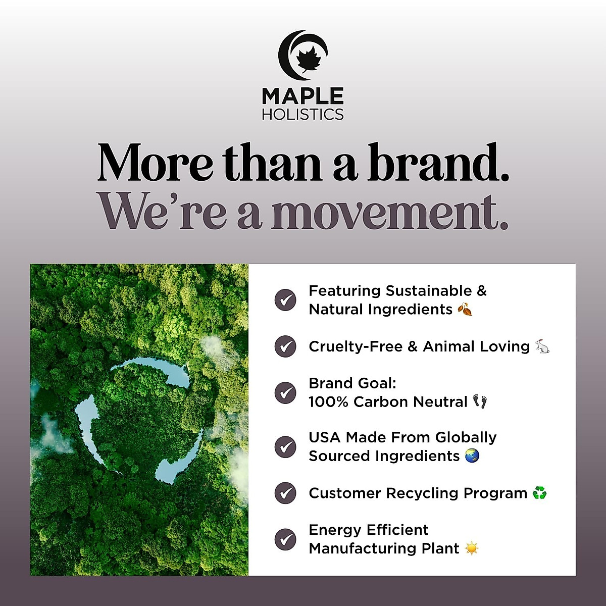 Tea Tree Shampoo for Oily Hair - Paraben and Sulfate Free Clarifying Shampoo for Build Up and Dry Scalp with Tea Tree Oil for Hair - Purifying Aromatherapy Tea Tree Oil Shampoo for Greasy Hair