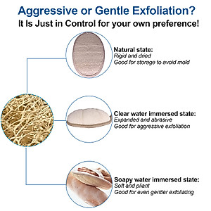 Exfoliating Body Scrubber Loofah Sponge (2 Pack), 100% Natural Lufa Bath Scrubber Body Scrubbers for Shower Scrub Loofa, Large Lufas for Men and Women Loufa Biodegradable Exfoliator Scrubber Luffa