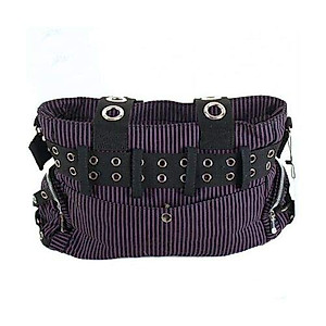 Lost Queen Striped Punk Rock Steampunk Purse with Handcuff Skull Charm (Purple)