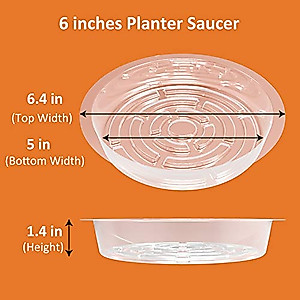 Gardzen Heavy Duty Clear Plastic Plant Saucers, Flower Pot Tray - Excellent for Indoor & Outdoor Plants (6-Inch, 10-Pack)