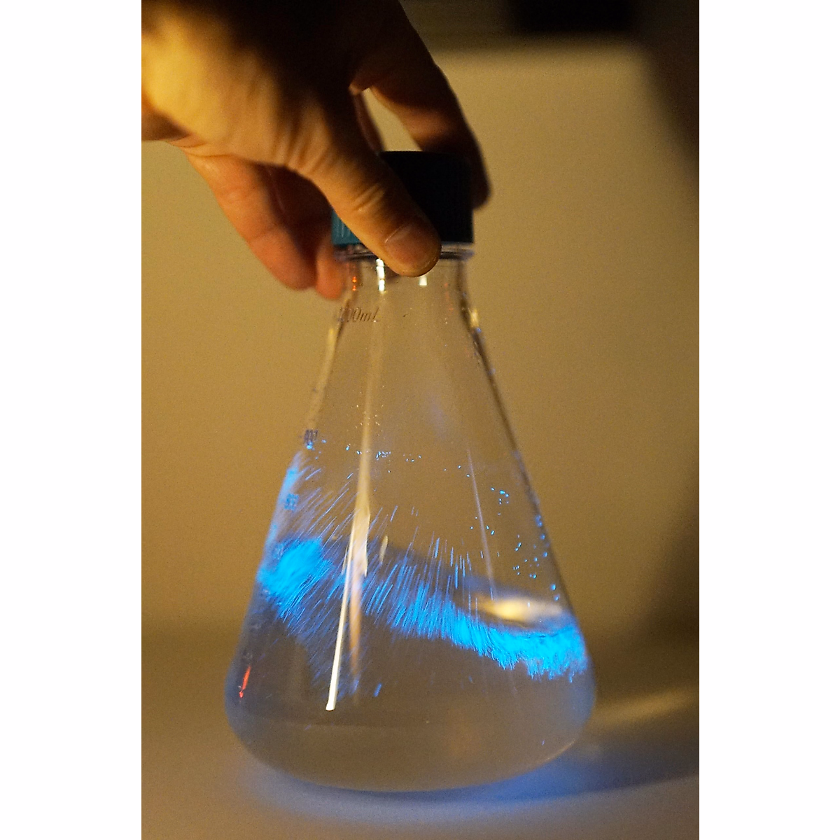 GrowPro Plus Flask - 1000ml Polycarbonate Grow Flask