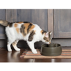 PetSafe Drinkwell Replacement Filter for Current Pet Fountains, Pack of 4, Charcoal Carbon Filter for Cats and Dogs