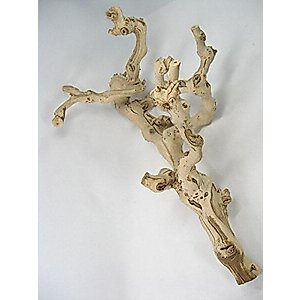 Richland Grapewood Branch 12" Sandblasted