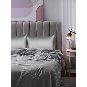 Lacette Silk Pillowcase for Hair and Skin 2 Pack, 22Momme 100% Mulberry Silk & Natural Wood Pulp Fiber Grade 6A Dual-Sided Silk Pillow Cases, Silk Pillow Cover with Zipper (Standard20 x26,Space Gray)