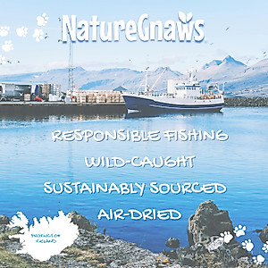 Nature Gnaws Fish Bites for Dogs - Natural Dog Treats – Premium Cod & Salmon Chewy Training Reward – 1 Lb