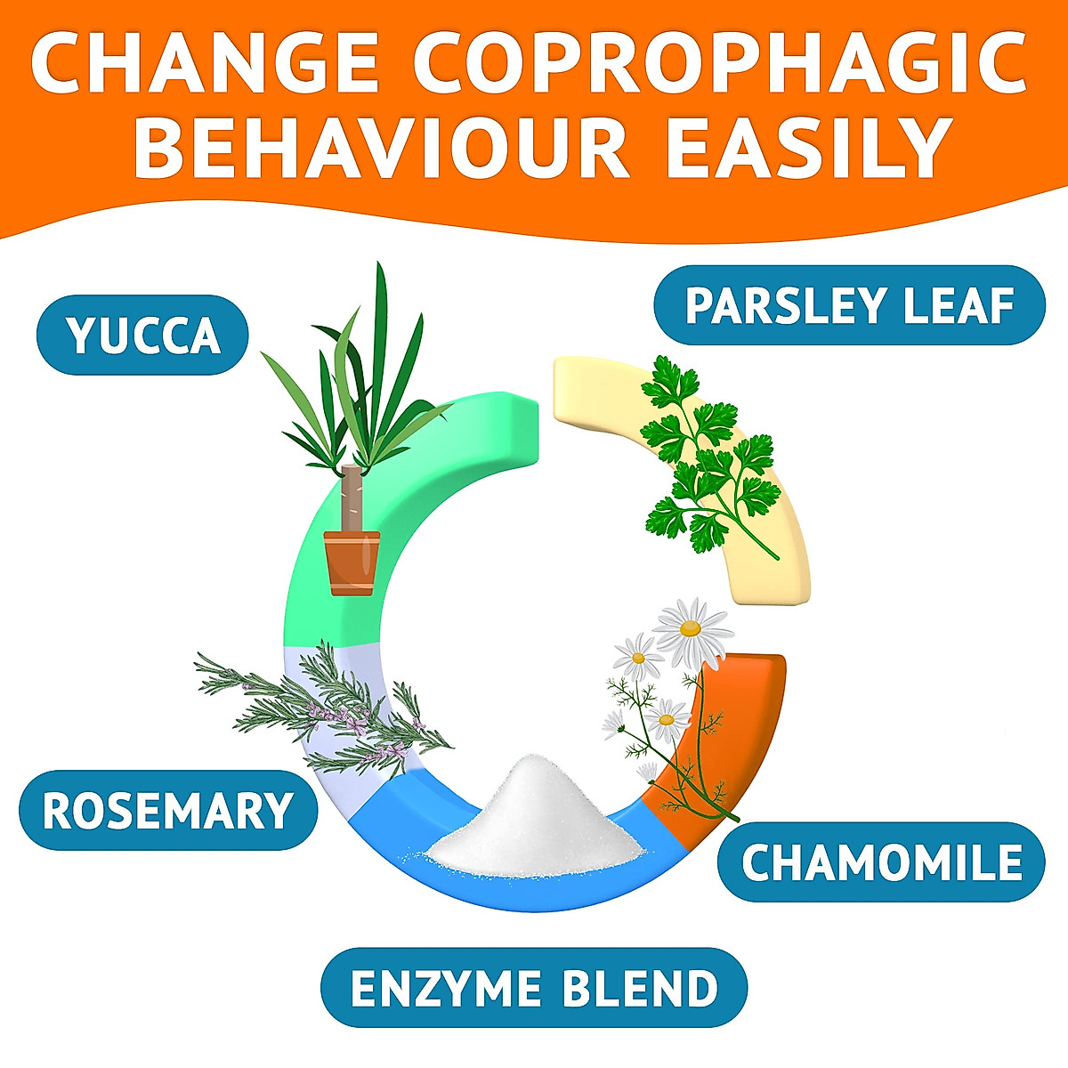 Chew No Poo - Coprophagia Treatment for Dogs - Prevent Dog Poop Eating - Natural Stool Eating Deterrent + Breath Aid - Probiotics & Digestive Enzymes - Boosts Gut Health - Made in USA - 120 Soft Chews