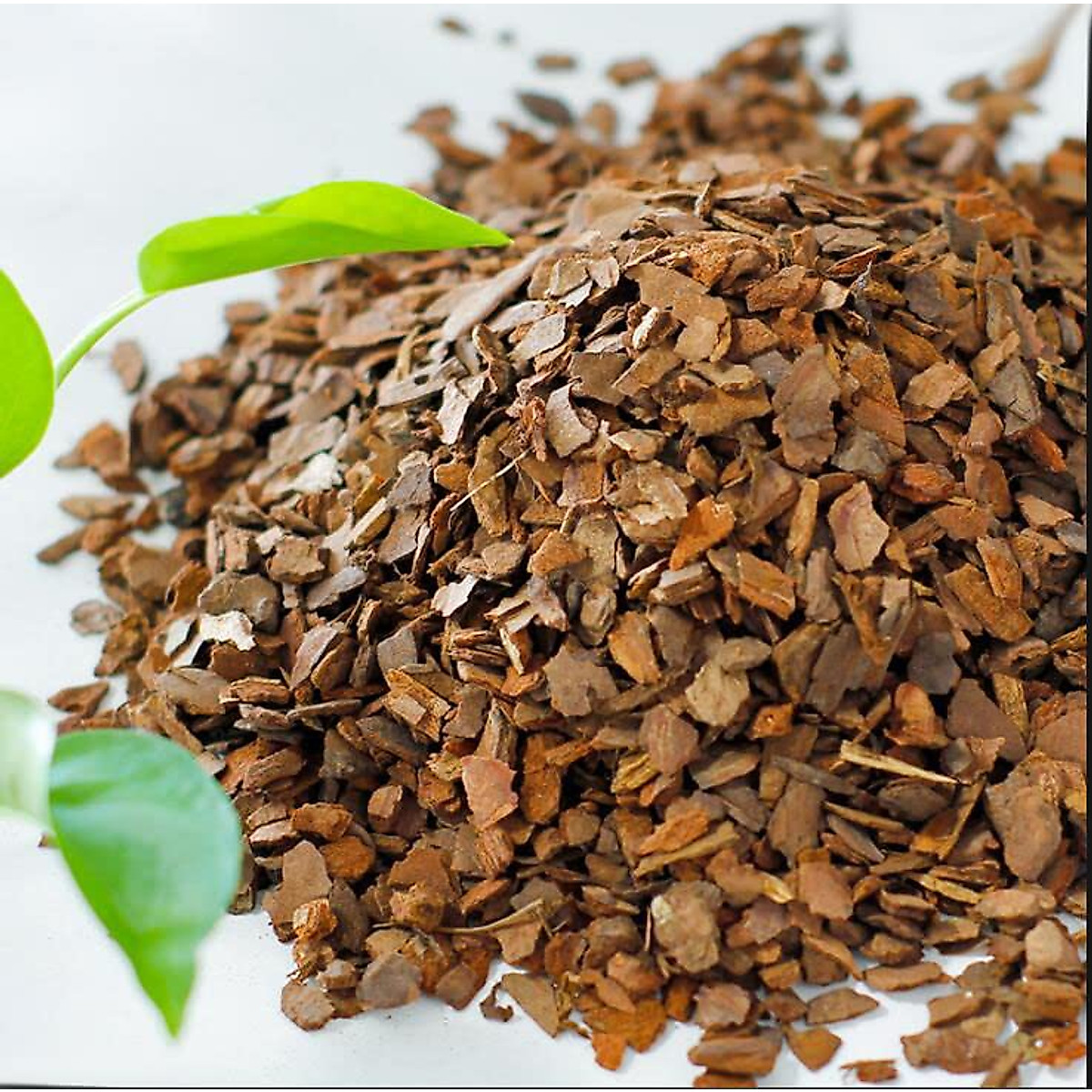 CYMUS Pure Pine bark 纯松树皮 Orchid & Bonsai Tree Soil - Medium Grain 3L