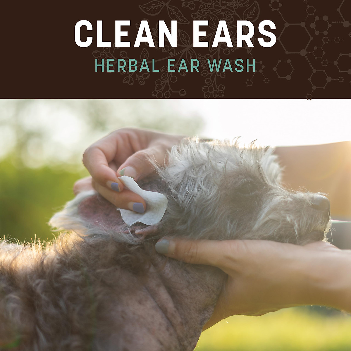 Earth Animal Herbal Remedies | Clean Ears Ear Wash | 4 fl oz