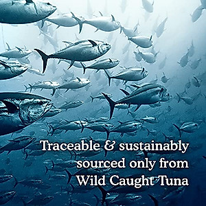 Garden of Life Dr. Formulated Prenatal DHA Fish Oil - 550mg DHA & DPA in Triglyceride Form 100% DV Vitamin D3, Single Source, Mercury Free Omega 3 DHA Supplements for Women's Health, 30 Softgels