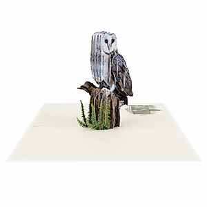 iGifts And Cards Majestic Owl 3D Pop-Up Greeting Card - 6"x8" Enchanting Forest Whispers Gift, Fun Present for Animal and Nature Lovers, Unique Ideas for Birthday, Graduation, Housewarming