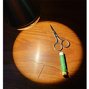 HomeFocus LED Desk Lamp with Touch Dimmable,Table Lamp,Night Light,Reading Desk Lamp,Office Desk Lamp,Working Desk Lamp,Gold Desk Lamp,LED 5W,3000K Warm Light,Metal,Antique Brass