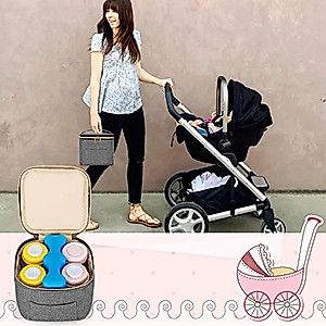 Teamoy Breastmilk Cooler Bag, Baby Bottles Bag for up to 4 Large 5 Ounce Bottles Without Nipple, Perfect for Working Mom Mother, (Bag ONLY), Gray