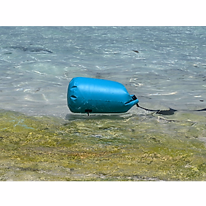 MARCHWAY Floating Waterproof Dry Bag Backpack 5L/10L/20L/30L/40L, Roll Top Sack Keeps Gear Dry for Kayaking, Rafting, Boating, Swimming, Camping, Hiking, Beach, Fishing (Teal, 20L)