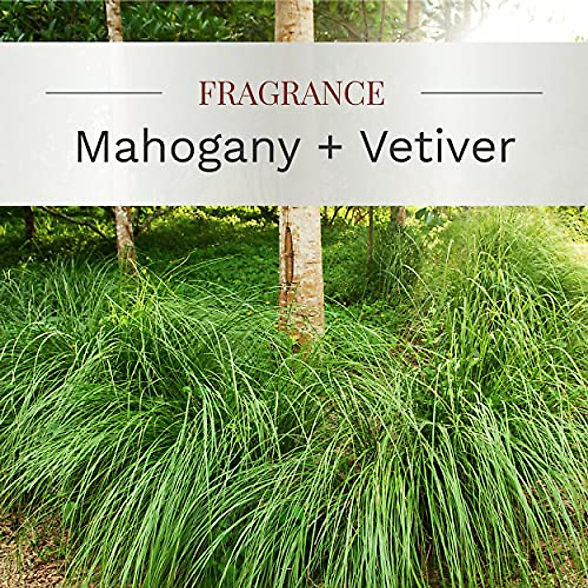 Essential Elements by Candle-lite Scented Candles, Mahogany & Vetiver Fragrance, One 9 oz. Single-Wick Aromatherapy Candle with 50 Hours of Burn Time, Off-White Color