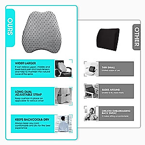 Bipintip Lumbar Support Office Chair with Adjustable Strap and Washable Cover - Back Cushion for Couch,Recliner,Car,Desk Chair - Lumbar Pillow Back Pain Relief,Improve Posture(Gray)