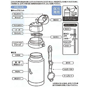 Skater SSPV4 Stainless Steel Children's Water Bottle, 12.8 fl oz (380 ml), Straw Drinking, 3D, Winnie the Pooh, Disney