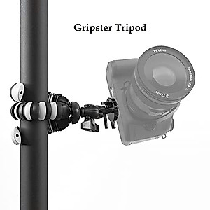 Canon Intl. Canon EOS 4000D DSLR Camera with Canon EF-S 18-55mm F/3.5-5.6 III Lens, ActionPro Bundle Includes 64 GB SanDisk Memory Card, Tripods, Flash, Bag, Filters and More (Large Kit)