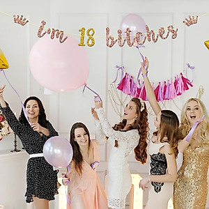 I'm 18 Bitches Banner, 18th Birthday Party Decor, Funny Eighteen Years Old Birthday Banner, Girl's 18th Birthday Party Decorations (Rose Gold)