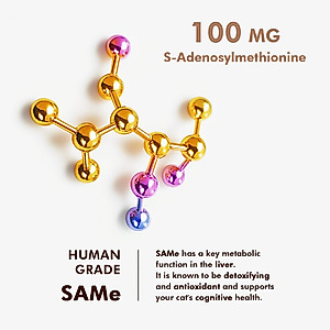 MedsMeHappy Pure SAM-e 100 mg Liver Support for Cats, Chicken Flavored 30g 1oz Powder, Scoop Inside