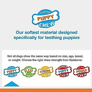 Nylabone Puppy Chew Keys Toy - Puppy Chew Toys for Teething - Puppy Supplies - Bacon Flavor, Small (1 Count)