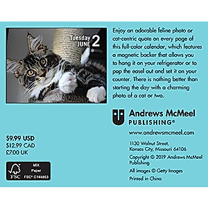 Cats 2020 Mini Day-to-Day Calendar