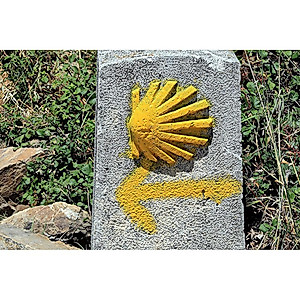 CafePress El Camino De Santiago De Compostela, Spain, S Mugs Ceramic Coffee Mug, Tea Cup 11 oz