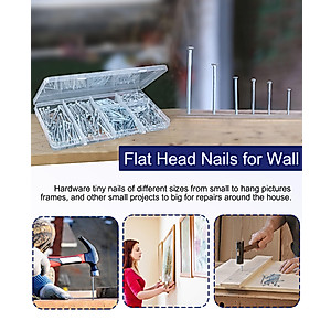 Eujqo Nails for Hanging Pictures Small Nails Picture Hanging Nails 700Pcs Finishing Nails Hardware Nails for Wall Wood Nails