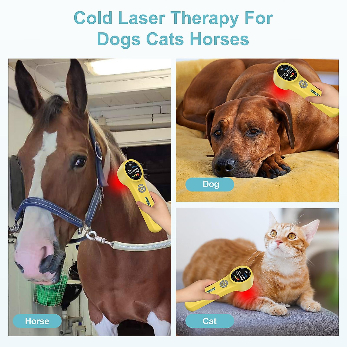 MBBQNN Laser Therapy Device for Pain Relief 4x980nm+16x660nm+4x810nm Cold Laser Therapy for Dogs Horses Equine Cats Low Level Laser Therapy for Tissues Joints Аrthritis Wound Healing Acute Injuries