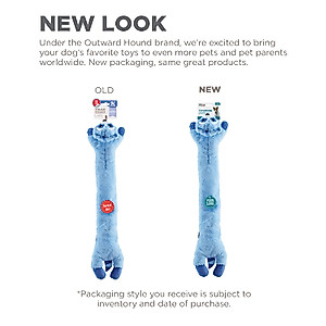 Outward Hound Longidudes Raccoon Plush & Squeaky Dog Tug Toy