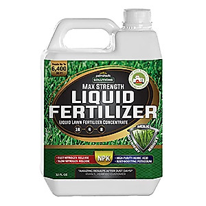 PetraTools Liquid Dethatcher (32oz) and Liquid 16-4-8 Lawn Fertilizer (32 oz)