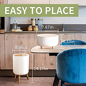 Trash can 1.8 Gallon，Dsektop garbage can 0.5 Gallon (2 Pieces) Mini Trash can with press top Lid, Nordic Modern waste basket, Office, Outdoor，Dog proof trash can(White)