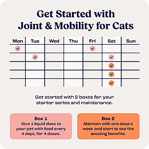 Summit Animal Health Lift Feline Pain Relief Supplement Inflammation Hip & Joint Support Vitamin for Cats - Natural Chondroitin with Liposomal Delivery for Arthritis - Drug Free - All Ages