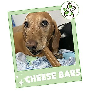 Nature Gnaws Chicken Cheese Bar Chews for Dogs (4 Count) – Hard Long Lasting for Aggressive Chewers - Rawhide Free Dog Chew Bones - Yak Alternative