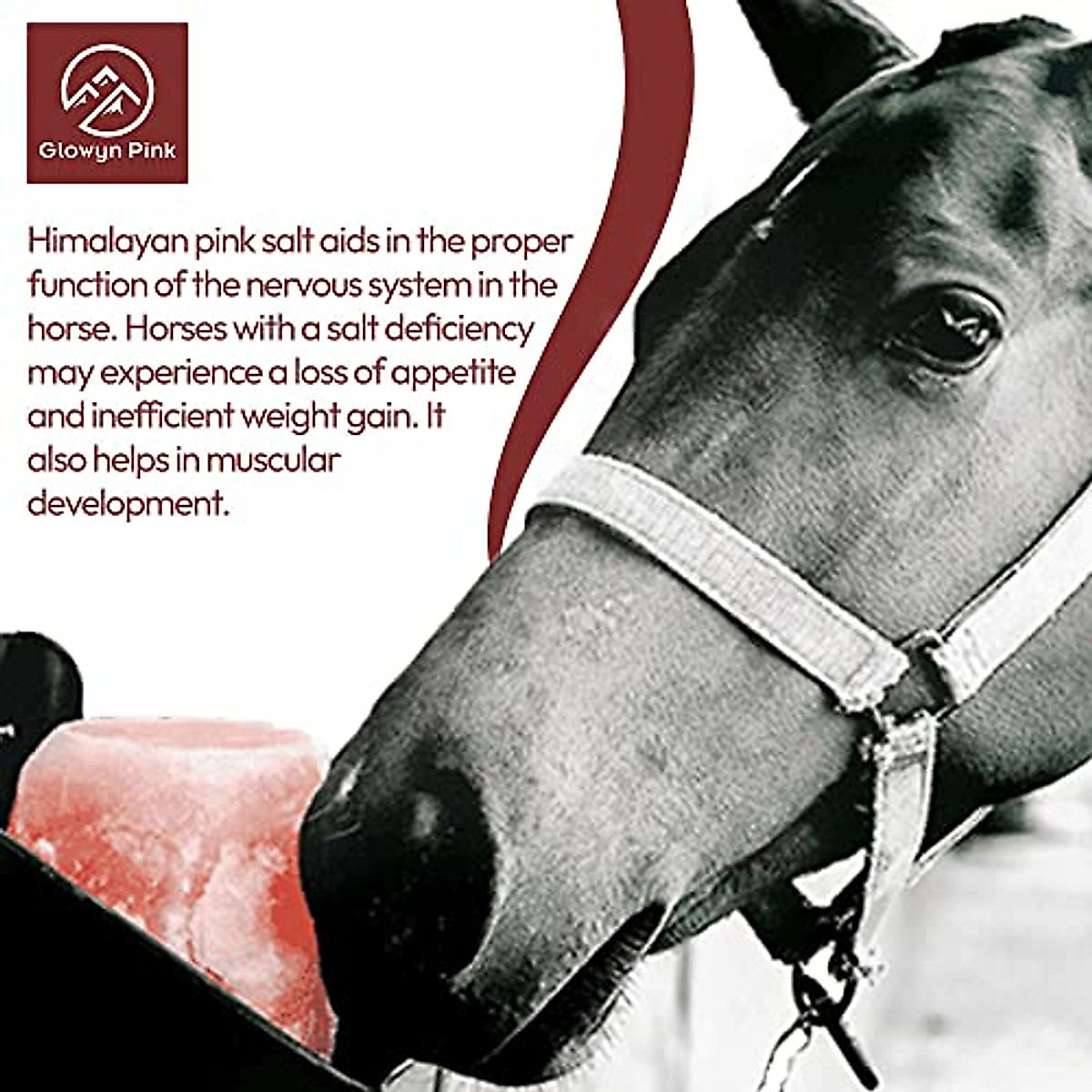Glowyn Pink Himalayan Salt Lick - Round Block on Rope - 6 lbs. (3 Pack)- Great Nutrition for Horses, Cattle, and Live Stock - 6 lbs.- 3 Pack