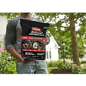Ortho BugClear Lawn Insect Killer1: Treats up to 16,500 sq. ft., Protect Your Yard & Garden Against Ants, Spiders, Ticks, Armyworms, Fleas & Grubs, 10 lbs.