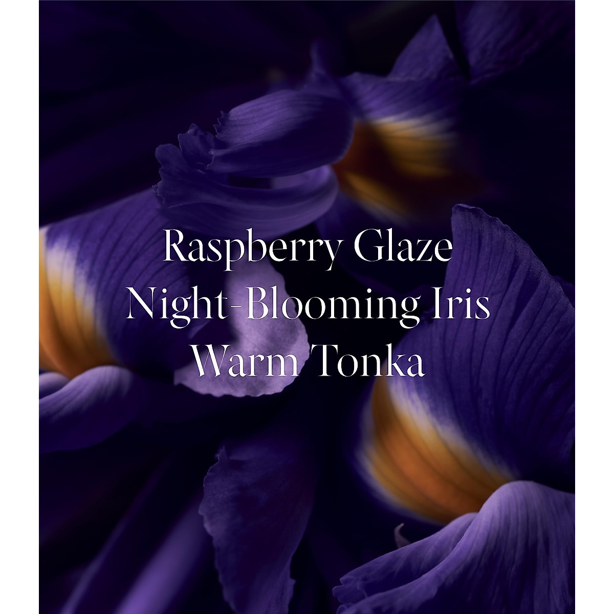 Victoria's Secret Tease Candy Noir 1.7oz Eau de Parfum